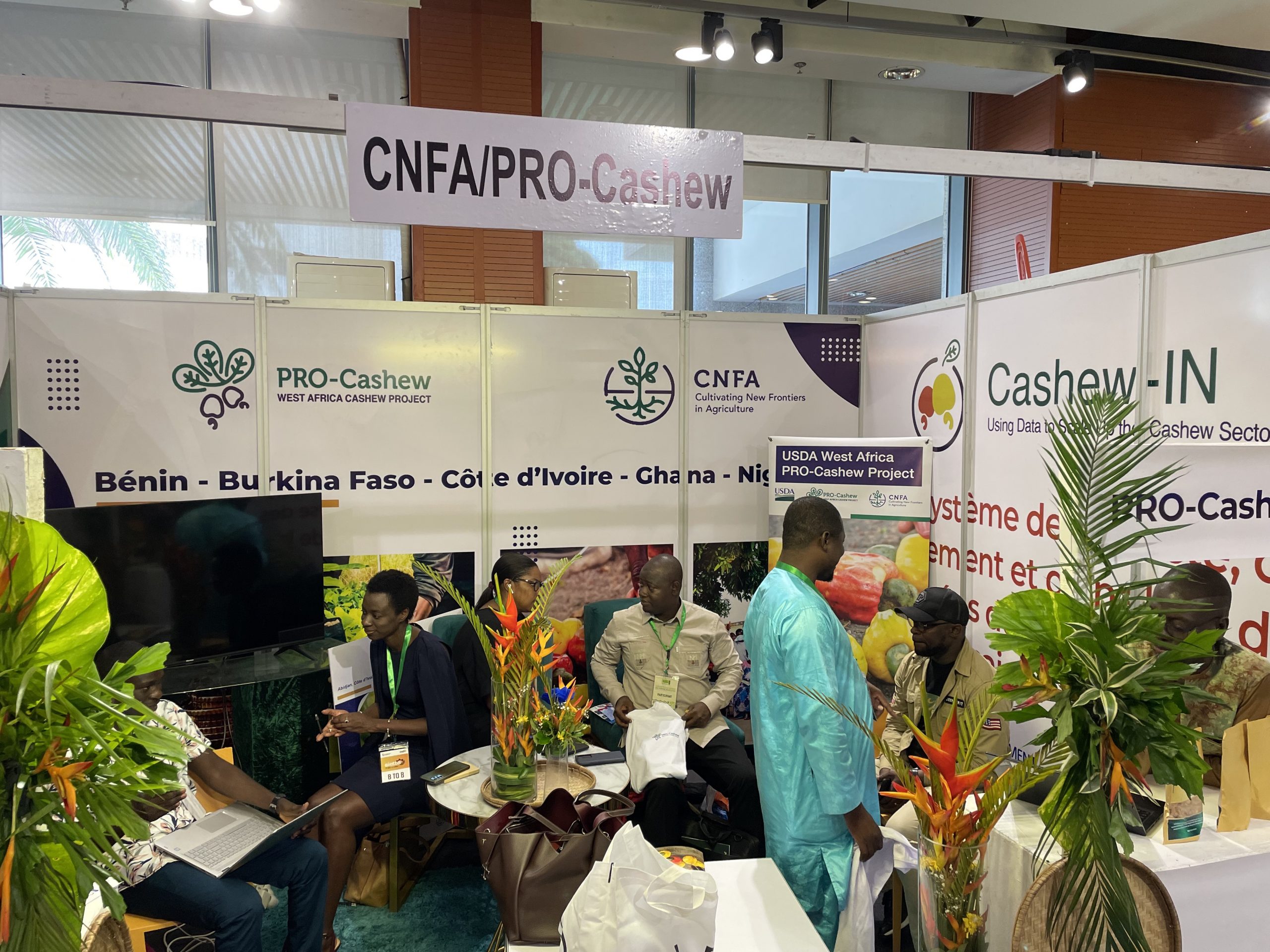 The Cashew-IN Platform: An Assessment of the Cashew Sectors in Five Countries (Part 2 ...