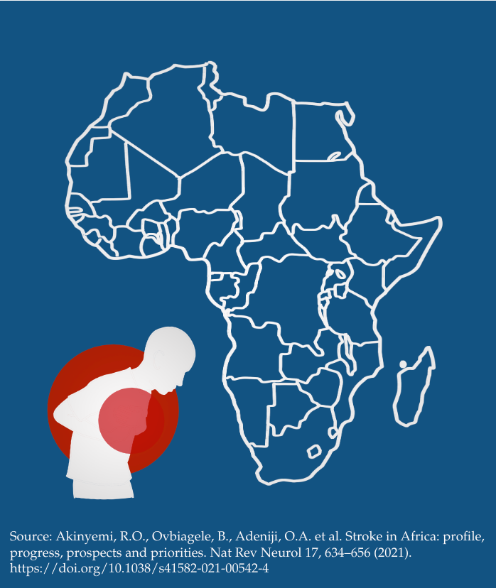 More Smoke, More Stroke – Development Gateway: An IREX Venture – Data and digital solutions for ...