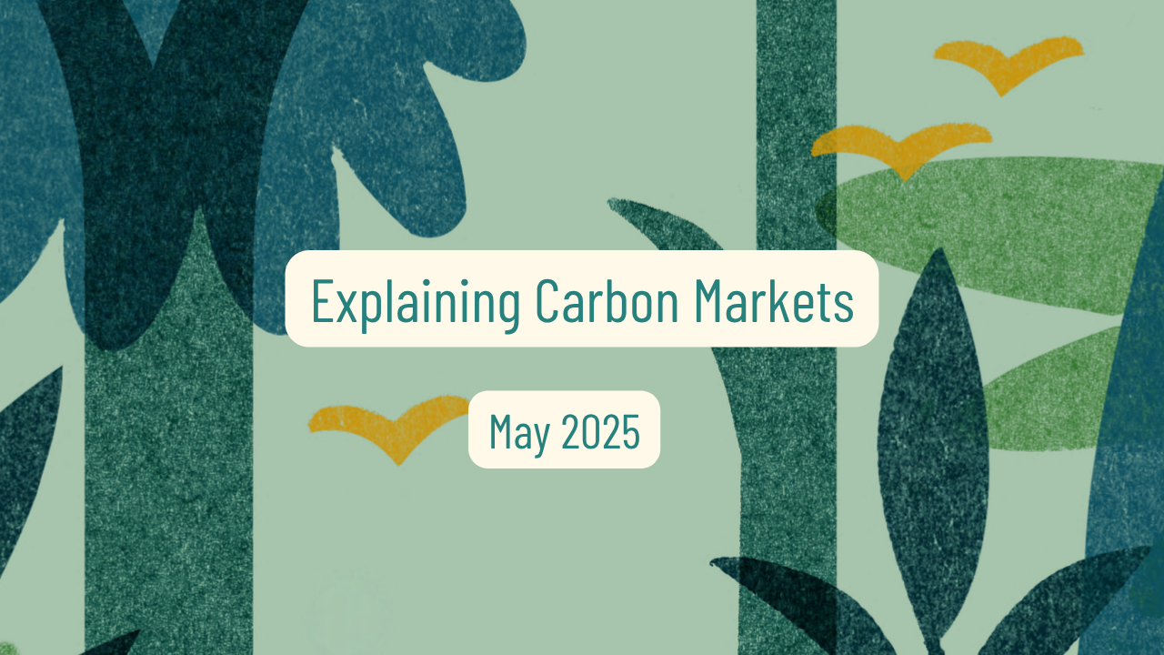 Explaining Carbon Markets – Development Gateway: An IREX Venture – Data and digital solutions ...